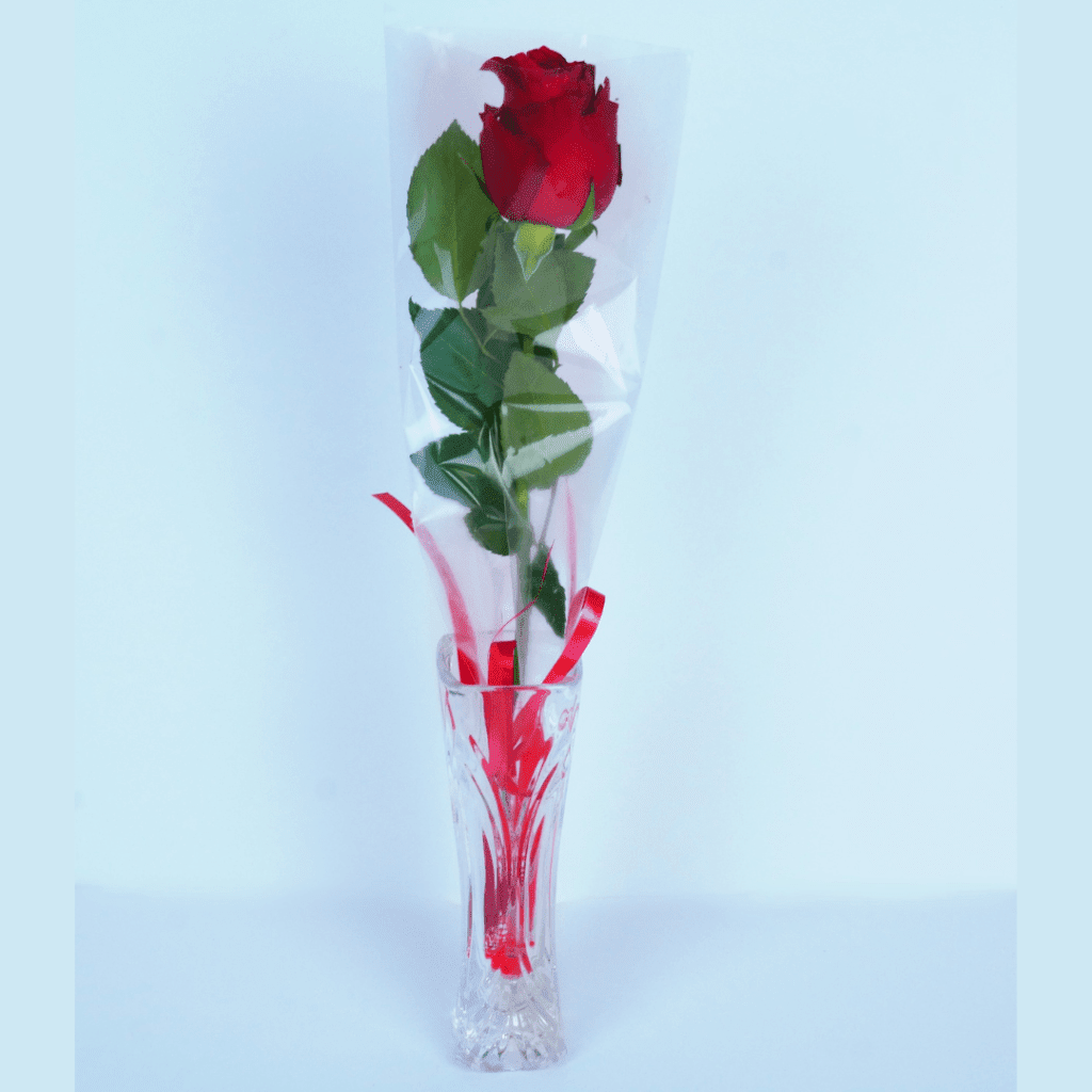 Single Rose Bouquet | Blooming Flowers